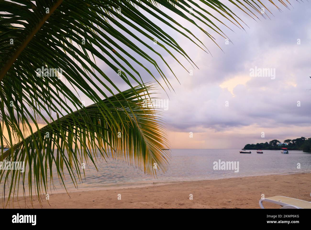 Sunset at the Beach with Palm Trees in Negril, Jamaica, Caribbean ...