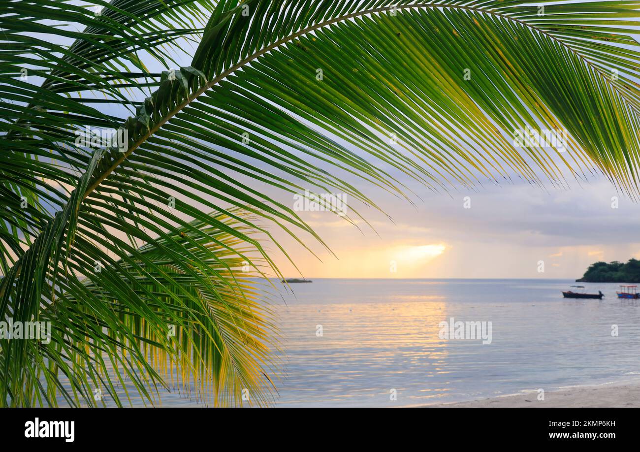 Sunset at the Beach with Palm Trees in Negril, Jamaica, Caribbean ...