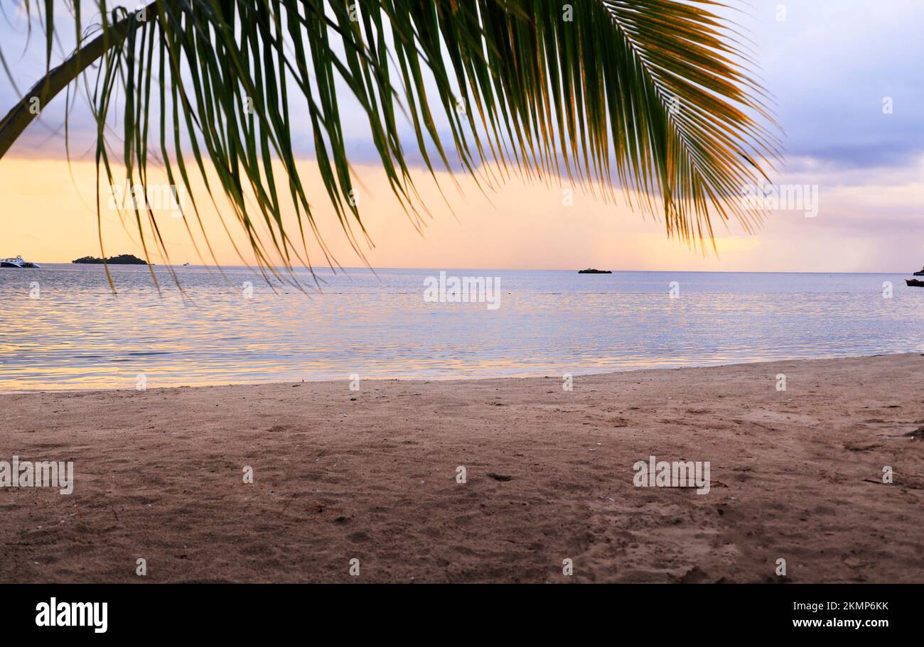 Sunset at the Beach with Palm Trees in Negril, Jamaica, Caribbean ...