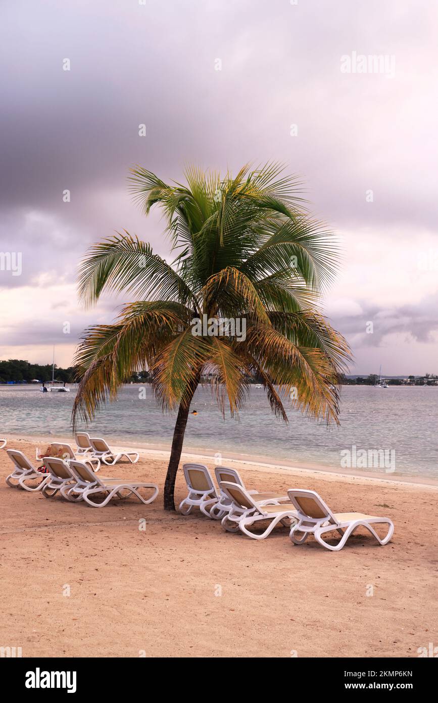 Sunset at the Beach with Palm Trees in Negril, Jamaica, Caribbean ...