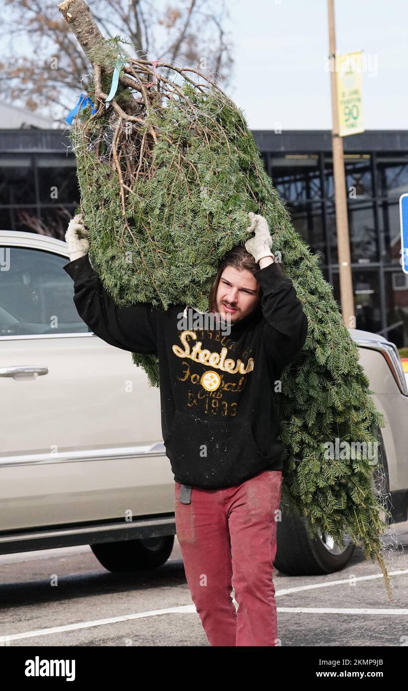 St. Louis, United States. 26th Nov, 2022. Worker Truman Binder carries ...