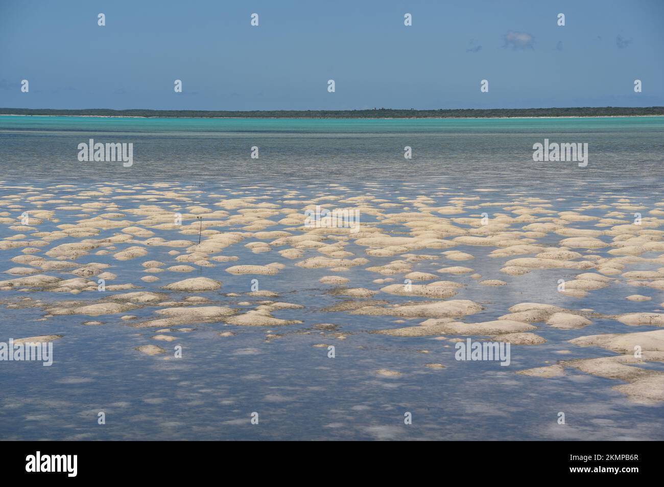 A beautifully colorful large format panoramic view of Mayaguana pink ...
