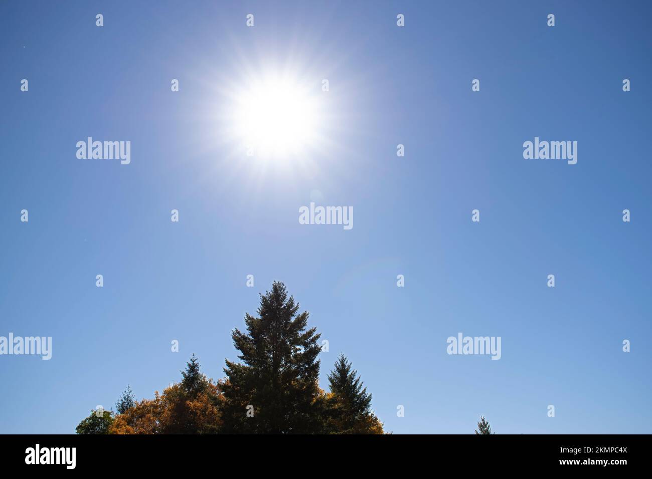green and orange fall trees in blue sky with sun above them Stock Photo ...