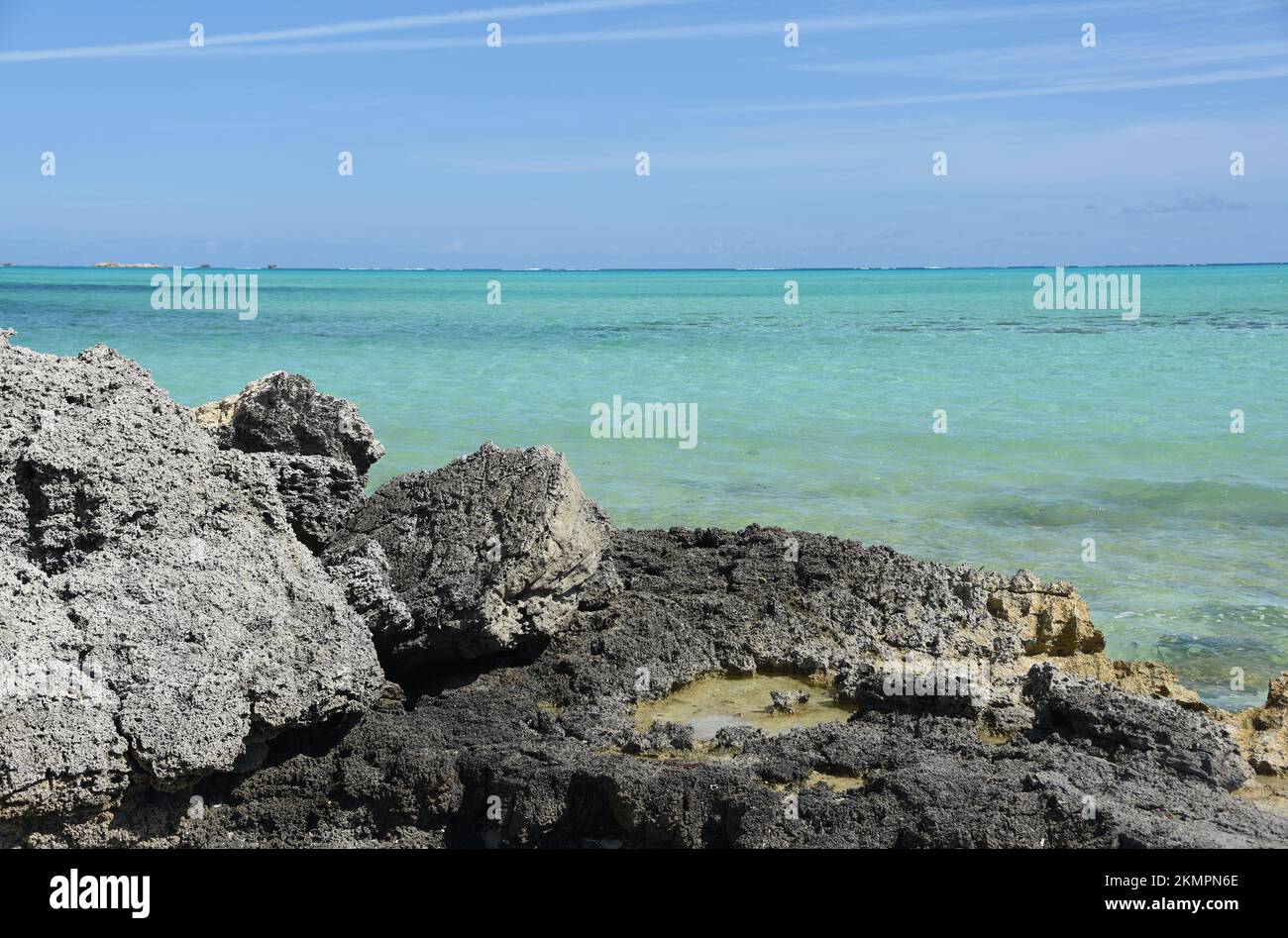 Contrasts of color and texture is shown by this view of lava rock and ...