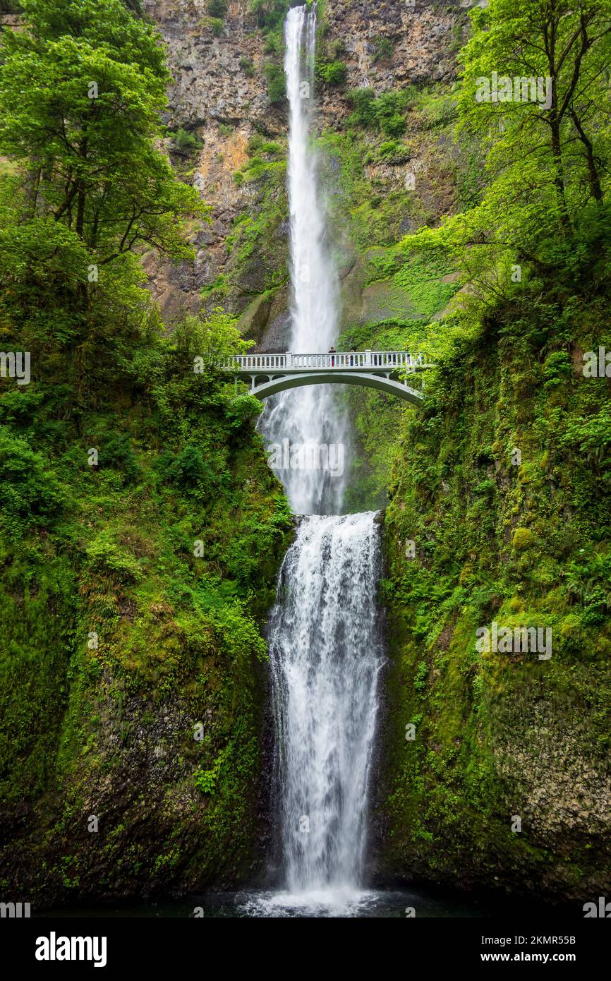 Multnomah Falls in Columbia River Gorge in Oregon Stock Photo - Alamy