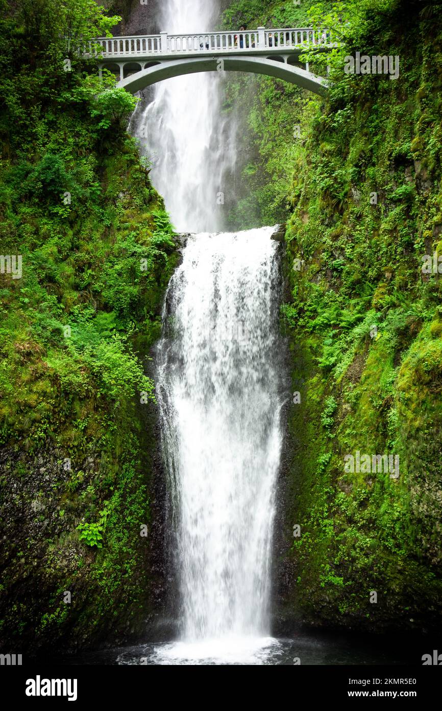 Multnomah Falls in Columbia River Gorge in Oregon Stock Photo - Alamy