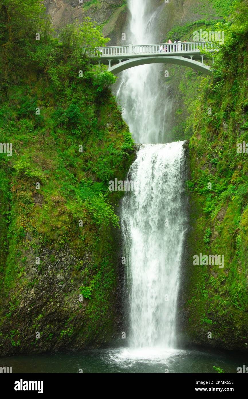 Multnomah Falls in Columbia River Gorge in Oregon Stock Photo - Alamy