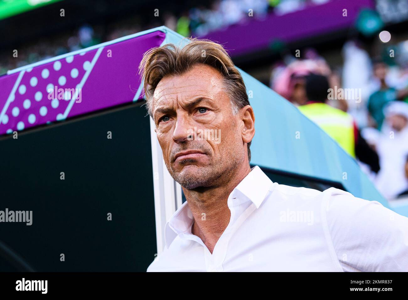 November 26, 2022, doha, qatar: Doha, Qatar, Nov 26th 2022: Head Coach ...