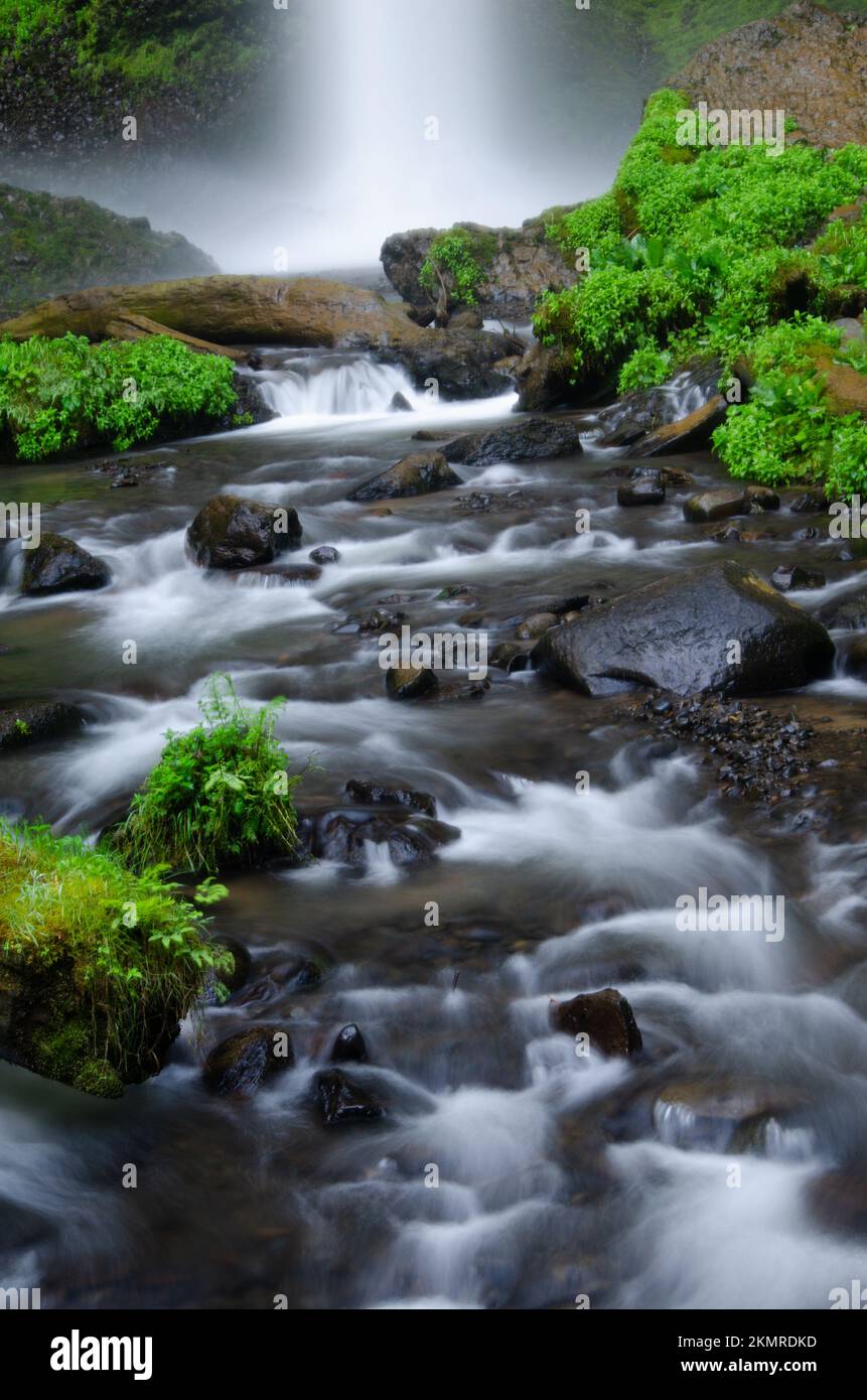 Latourell Falls in Columbia River Gorge in Oregon Stock Photo - Alamy