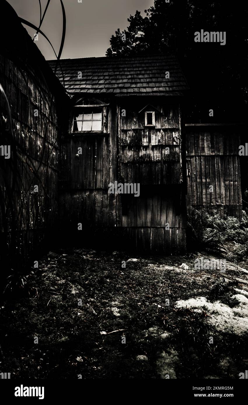 Haunted outback cabin with charcoal black appearance in dark night ...