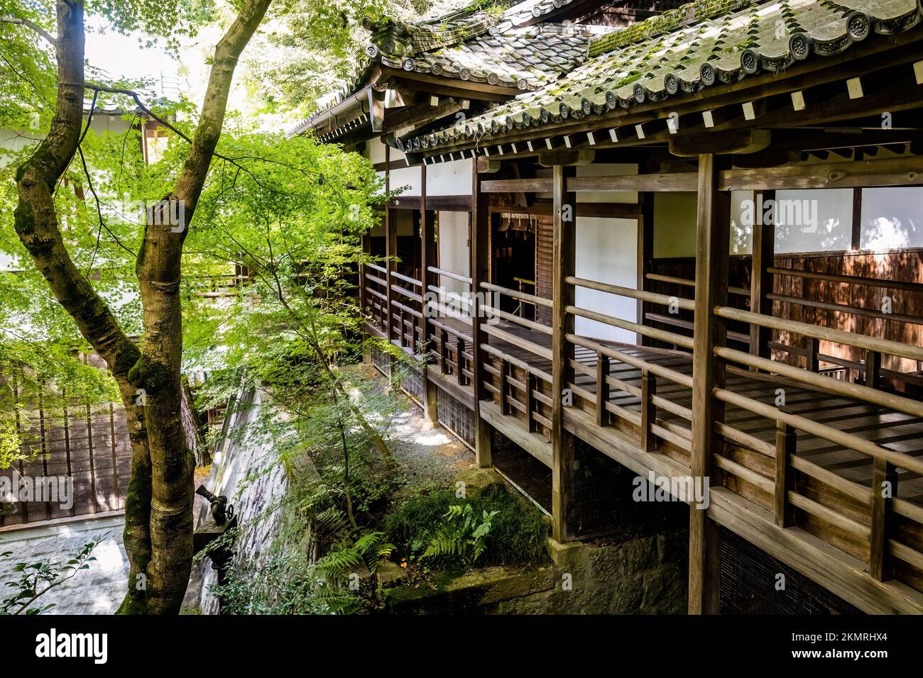 Eikando temple in kyoto hi-res stock photography and images - Alamy