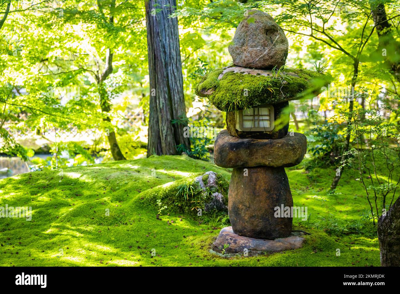 Beautiful japanese toro lantern covered with moss in forest Stock Photo ...