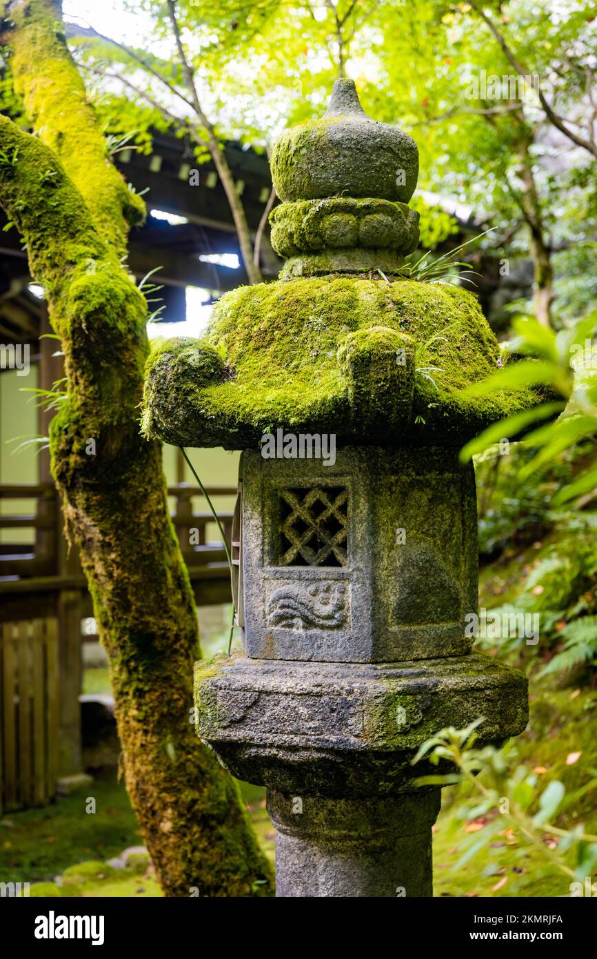 Japanese lanterns forest hi-res stock photography and images - Alamy