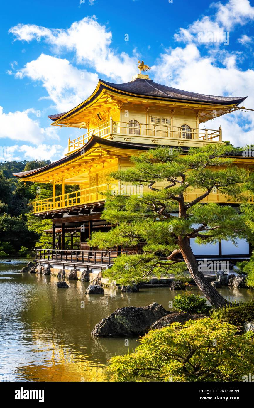 Scenic view of Kinkaku-ji shrine golden temple building view at fall in ...