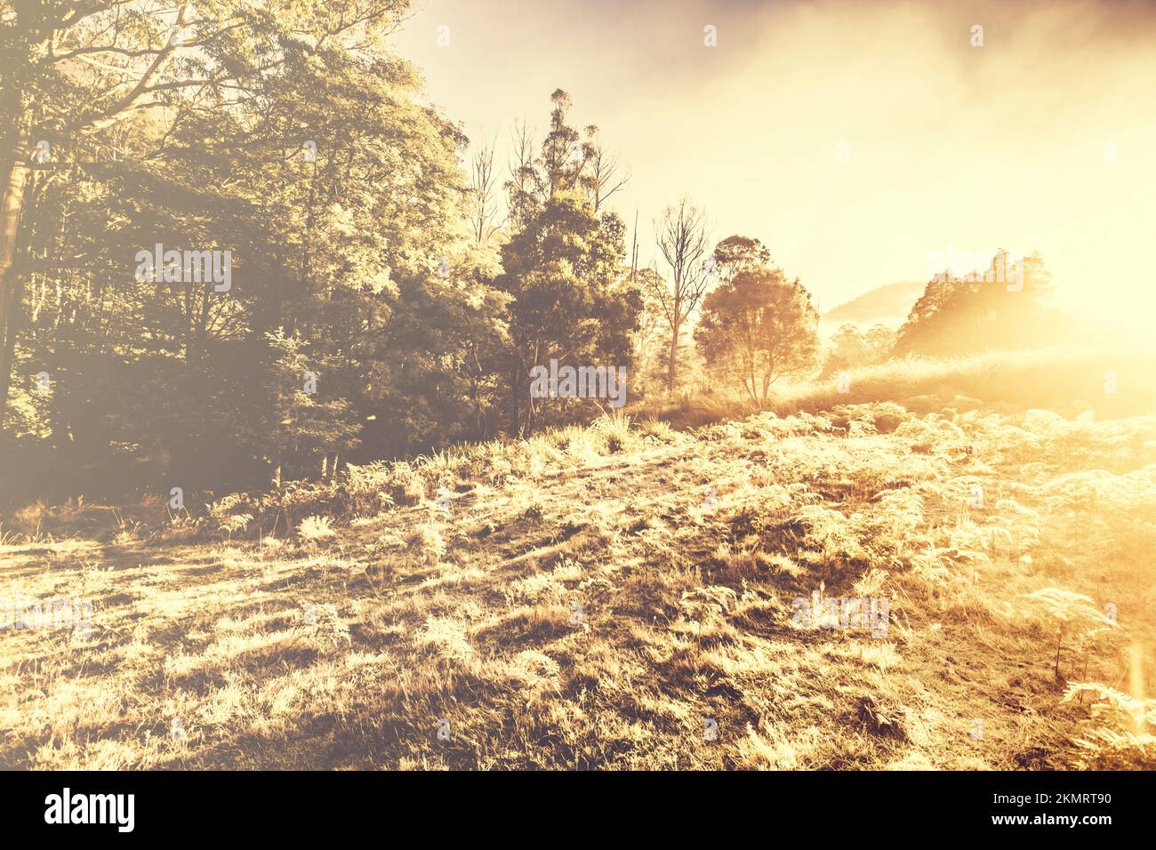 Huon valley sunset hi-res stock photography and images - Alamy