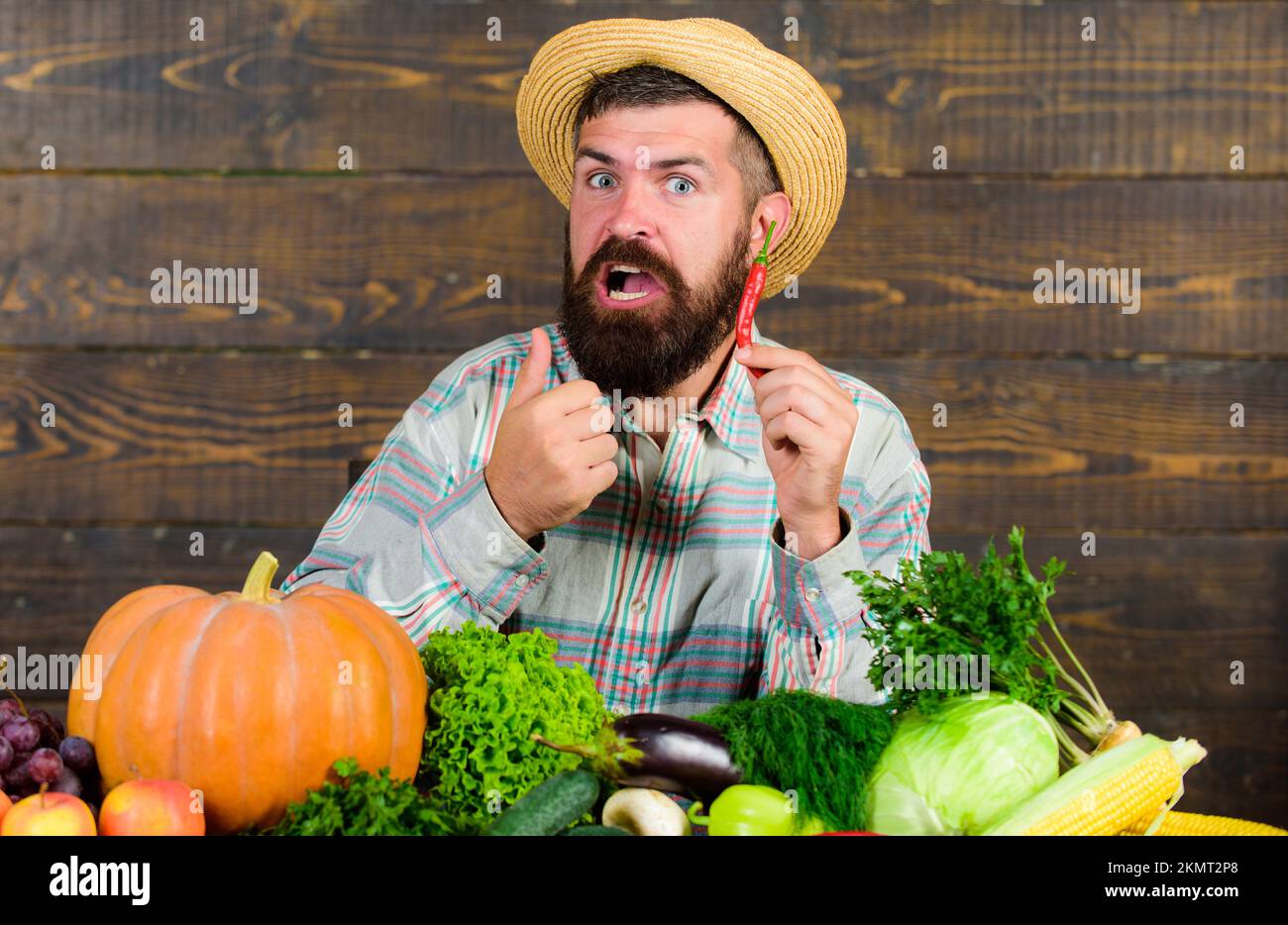 Farmer presenting hot chilli pepper wooden background. Bearded farmer ...