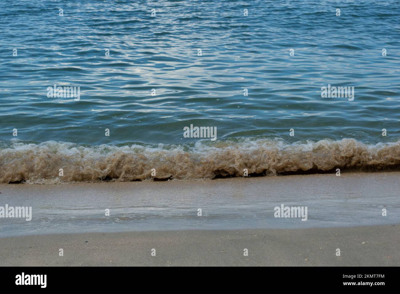 infrared image of the sunny day at the sandy beach Stock Photo - Alamy