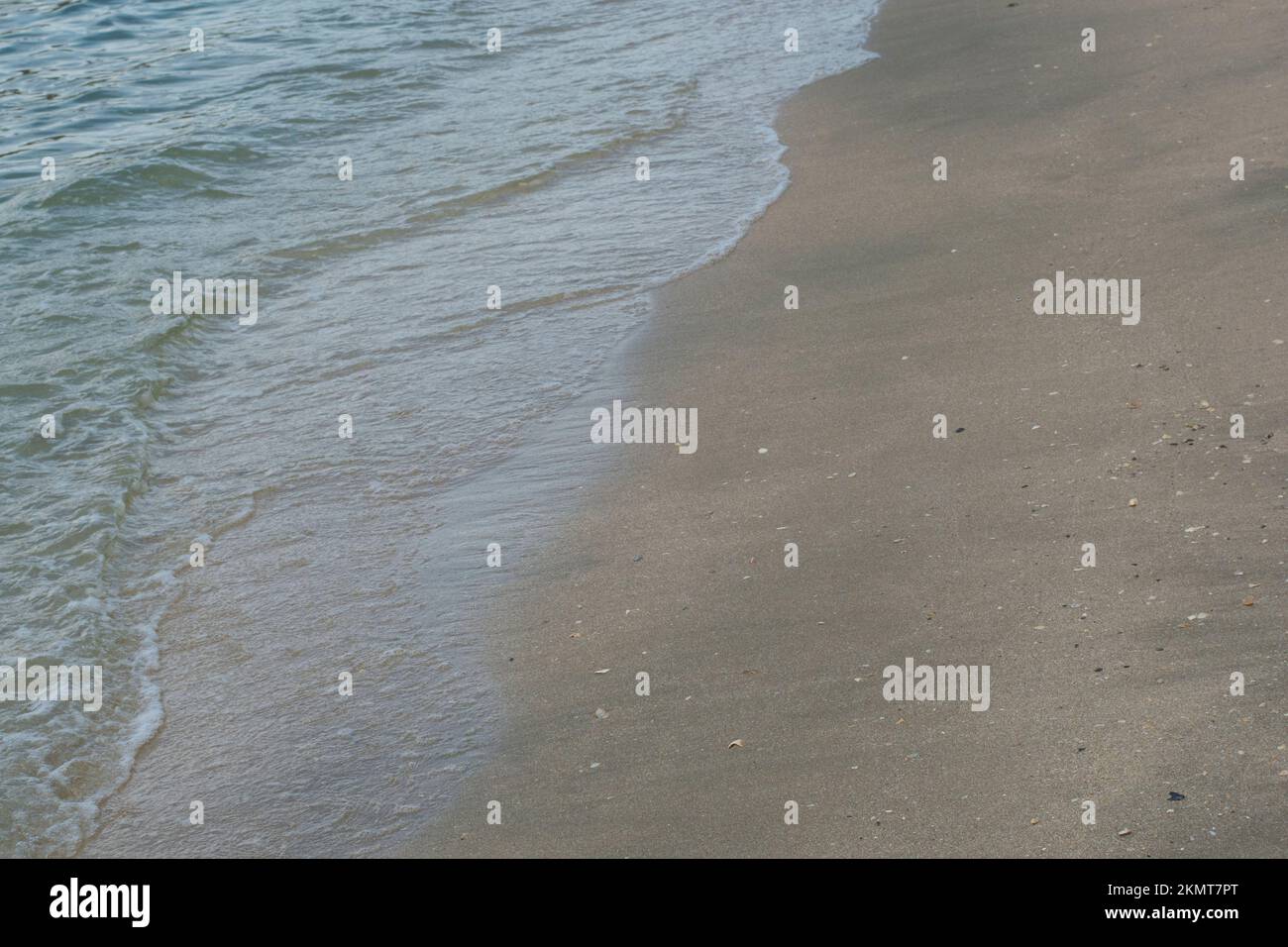 infrared image of the sunny day at the sandy beach Stock Photo - Alamy