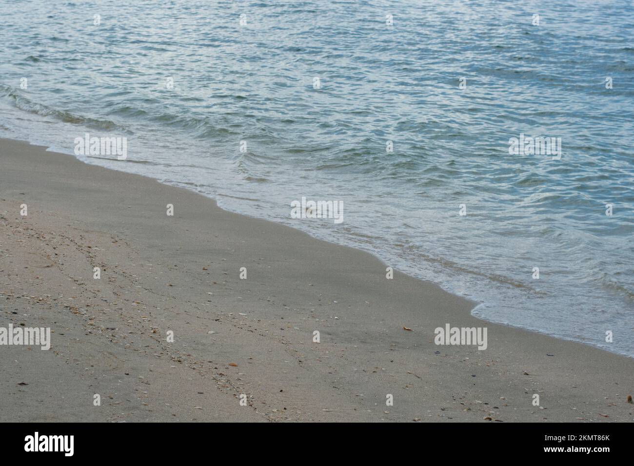 infrared image of the sunny day at the sandy beach Stock Photo - Alamy