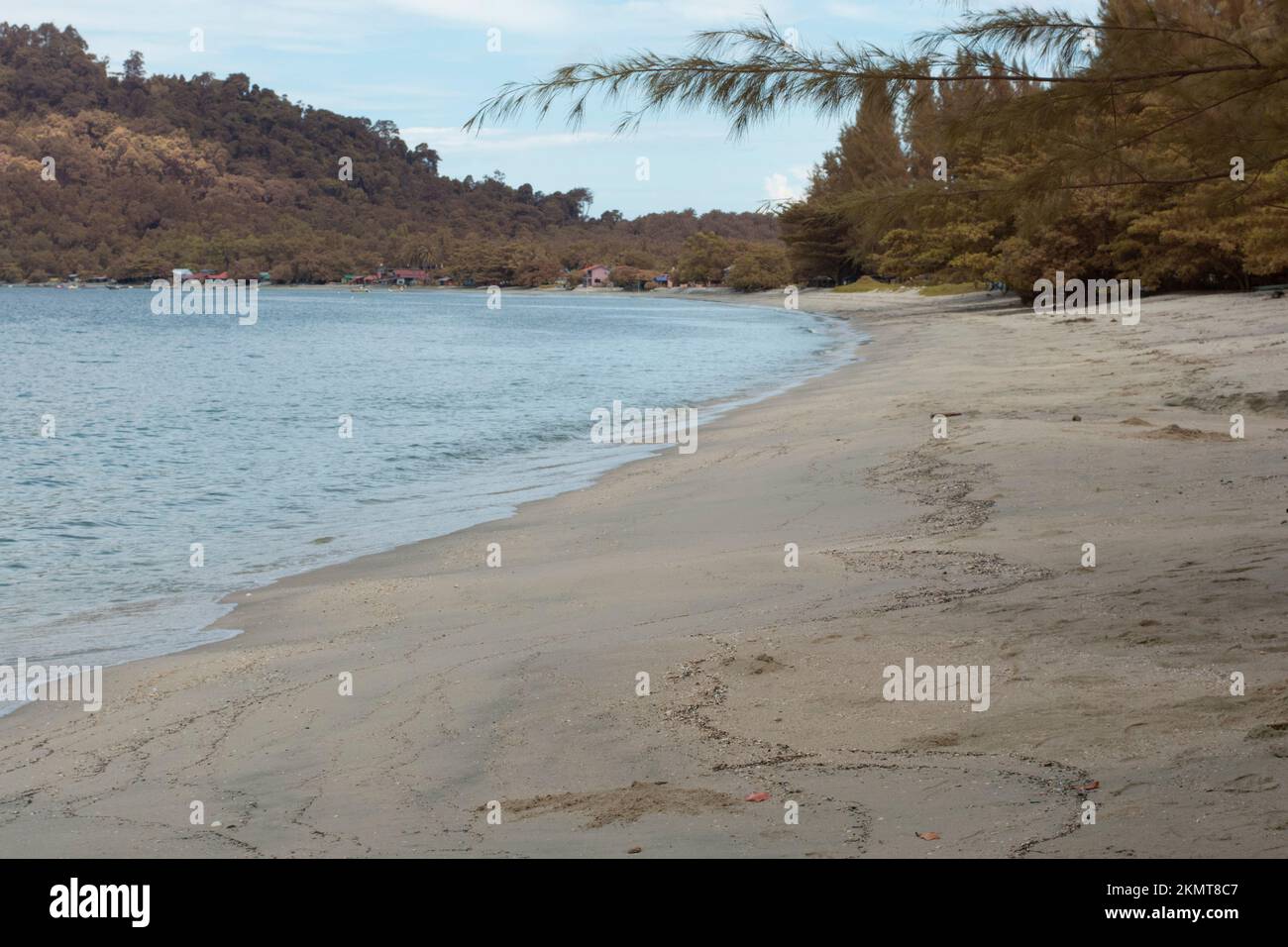 infrared image of the sunny day at the sandy beach Stock Photo - Alamy