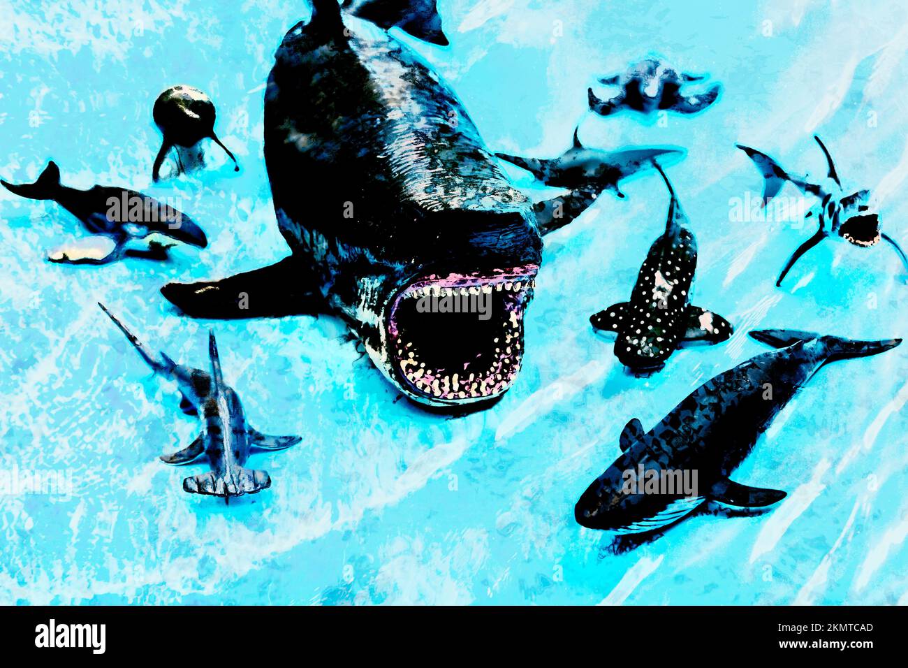 Shark infested water hi-res stock photography and images - Alamy
