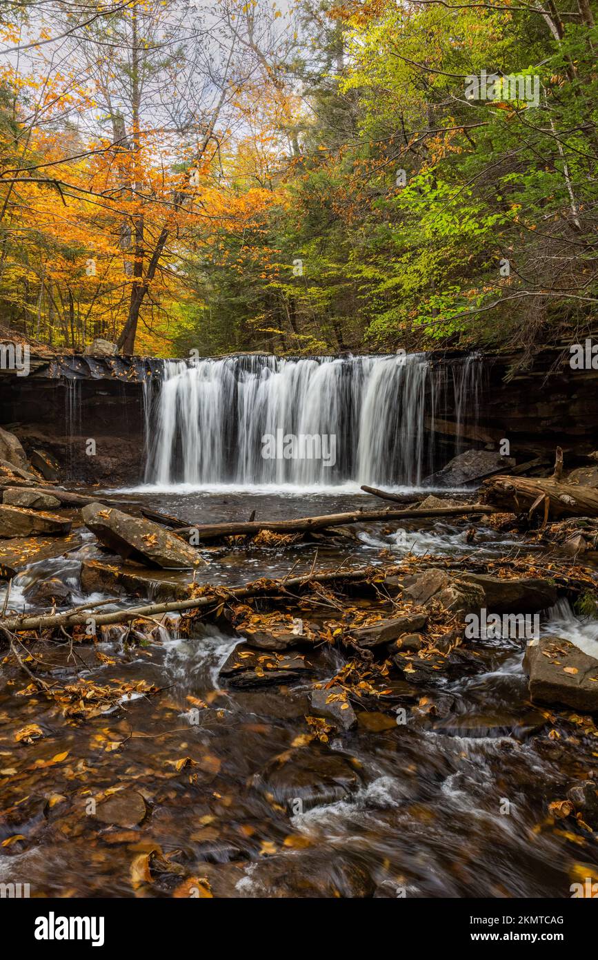Oneida Falls in autumn, Ricketts Glen State Park, Pennsylvania Stock ...