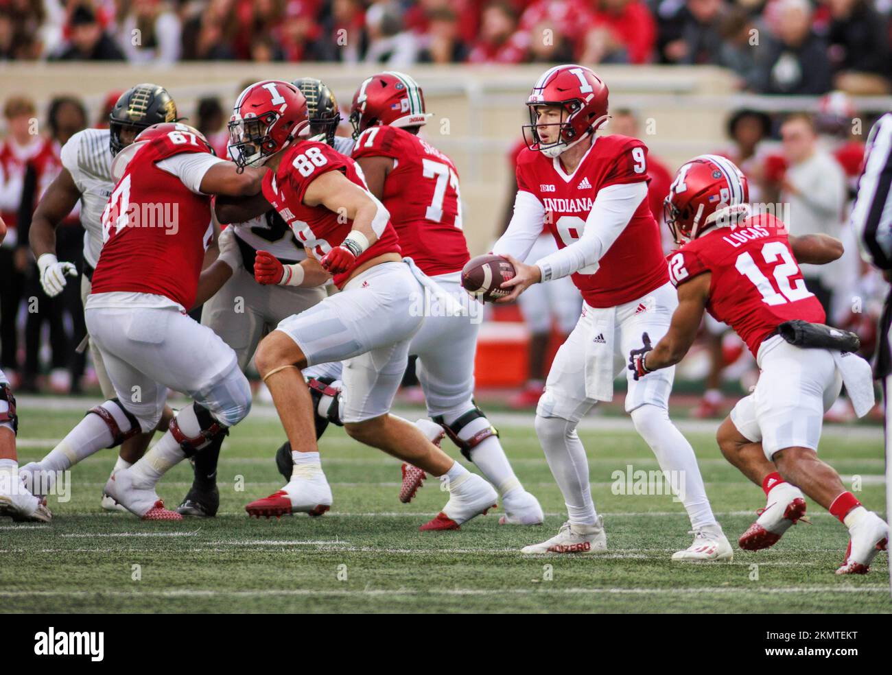 Connor bazelak hi-res stock photography and images - Alamy