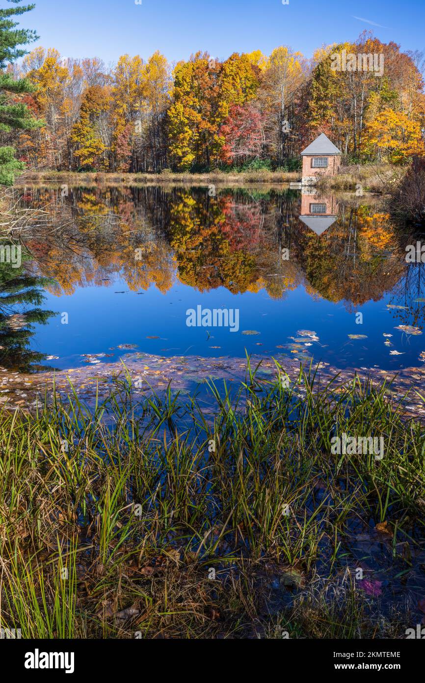 Gold building new haven connecticut hi-res stock photography and images ...