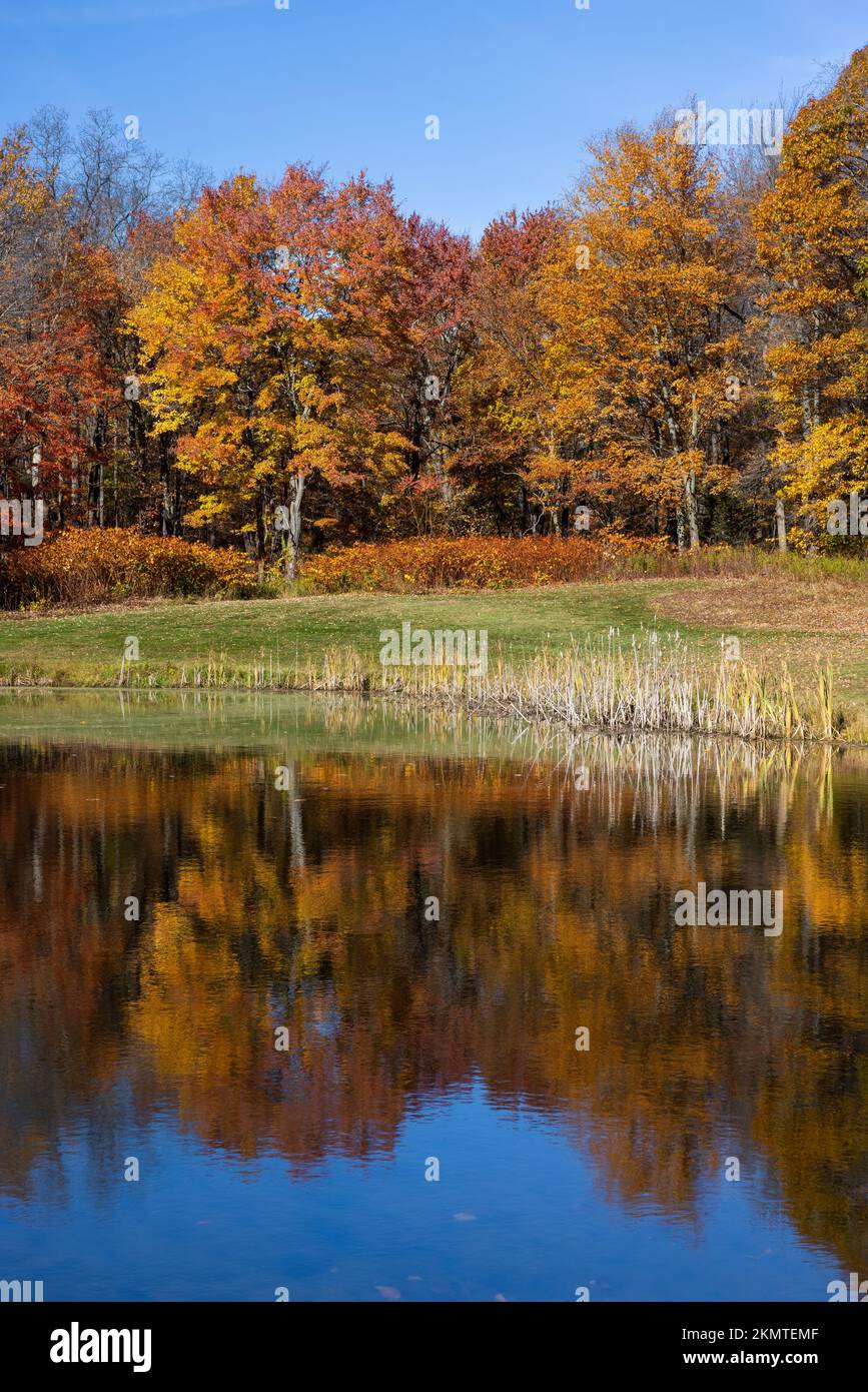Fall foliage prospect park hi-res stock photography and images - Alamy