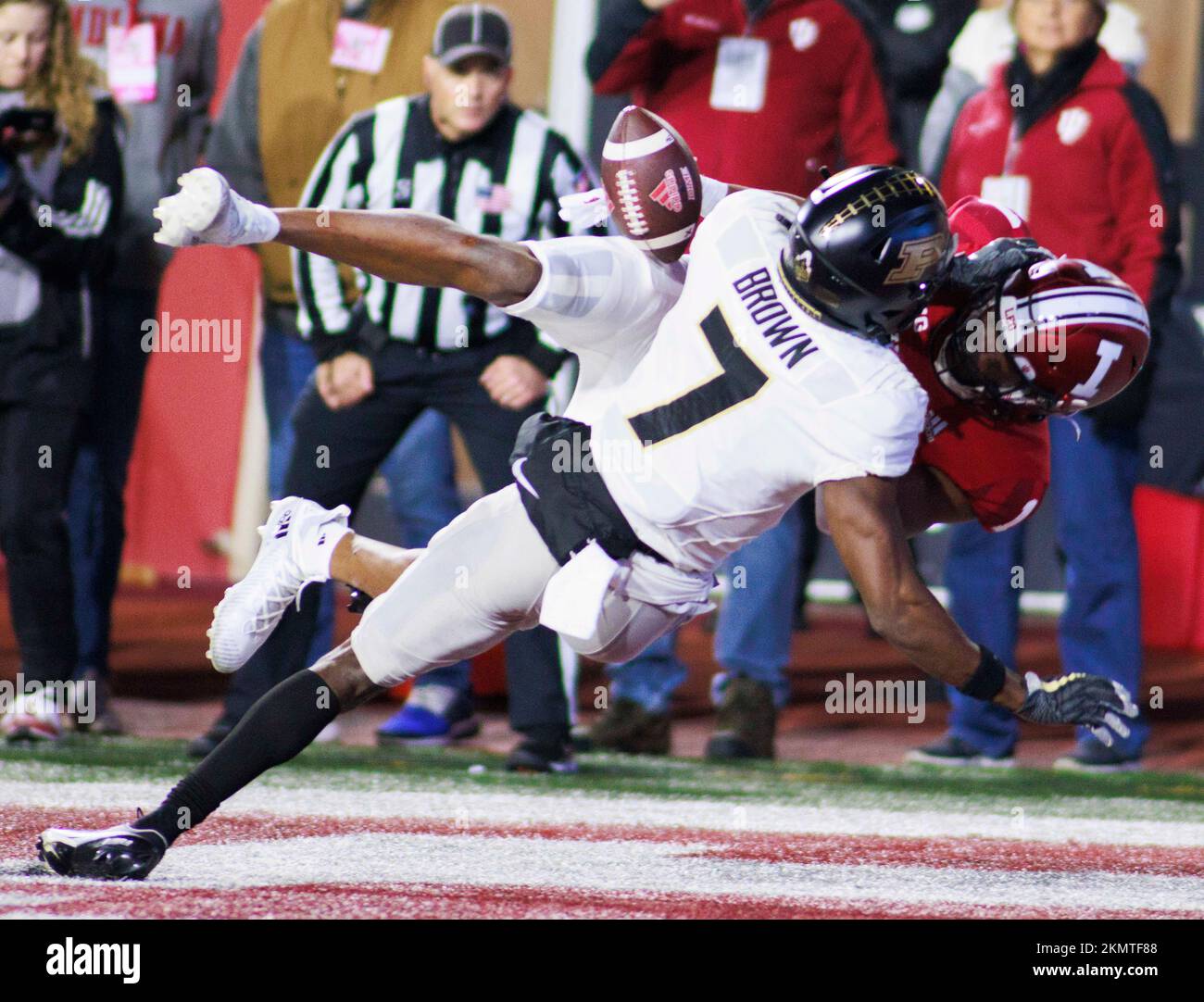 Jamari brown hi-res stock photography and images - Alamy