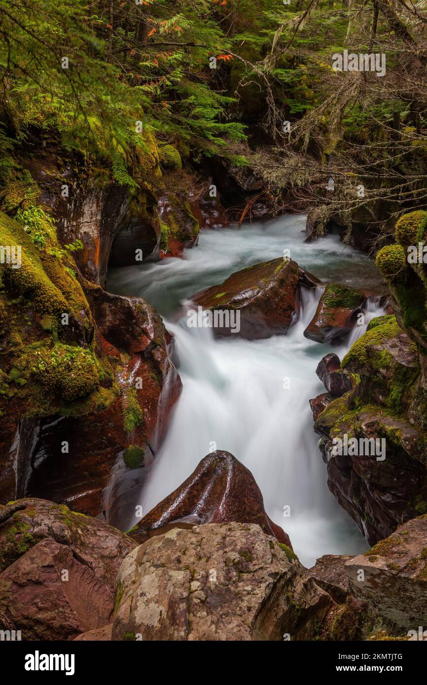 Avalanche Creek Glacier National Park Montana Stock Photo Alamy Avalanche Creek Glacier National Park Montana Stock Photo Alamy