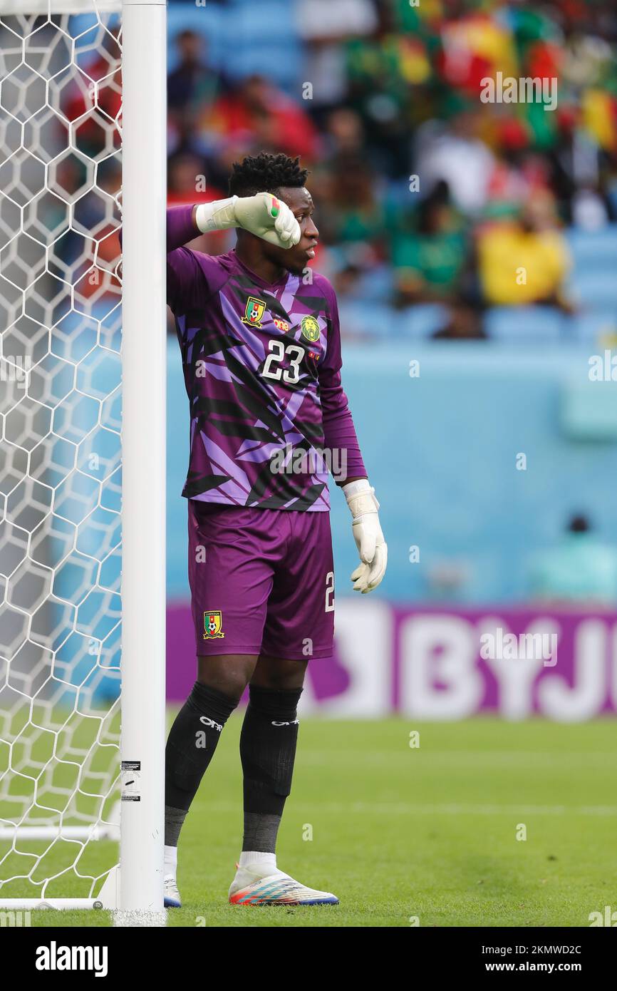 Al Wakrah, Qatar. 24th Nov, 2022. Andre Onana (CMR) Football/Soccer ...