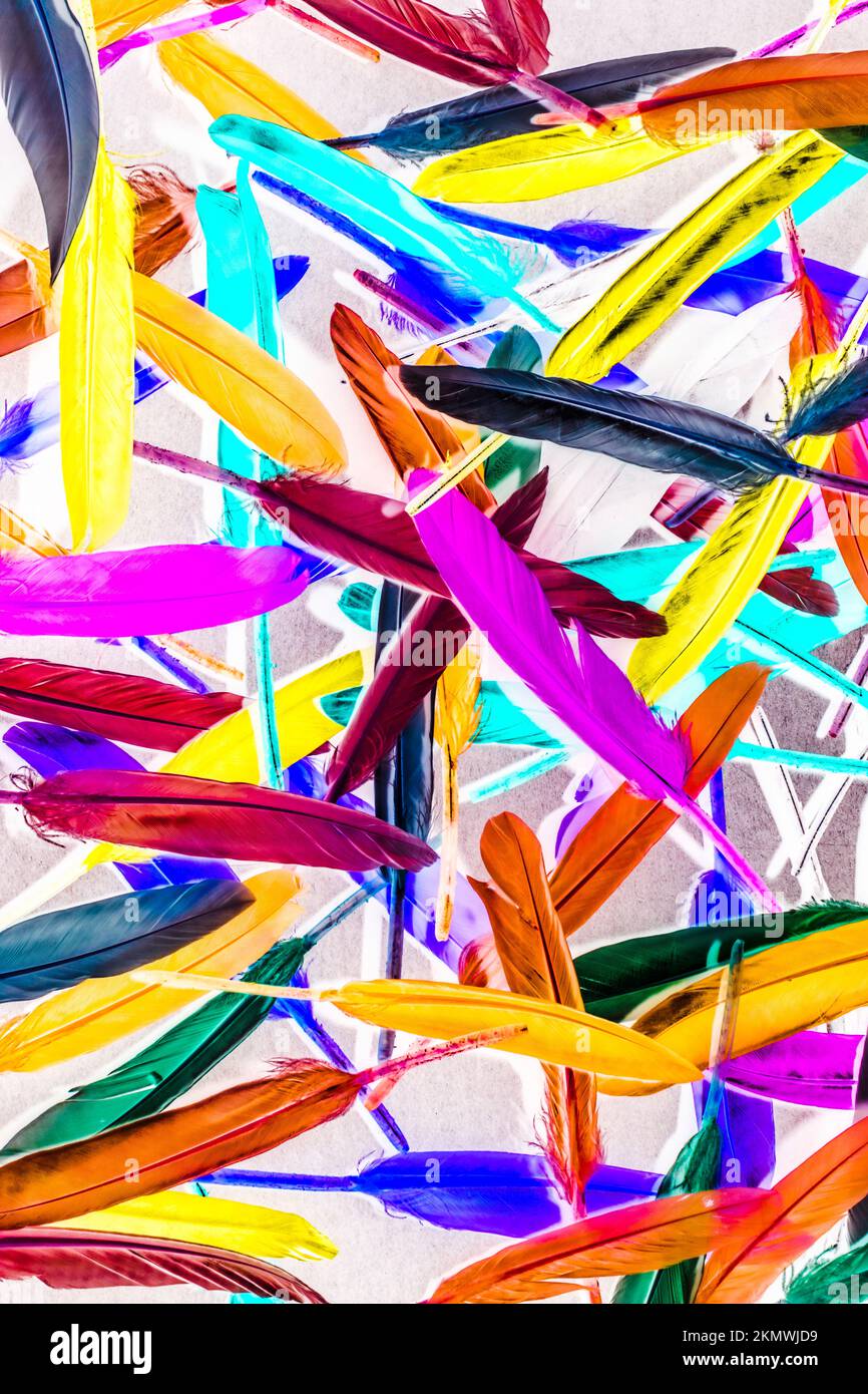 Inverse colors hi-res stock photography and images - Alamy