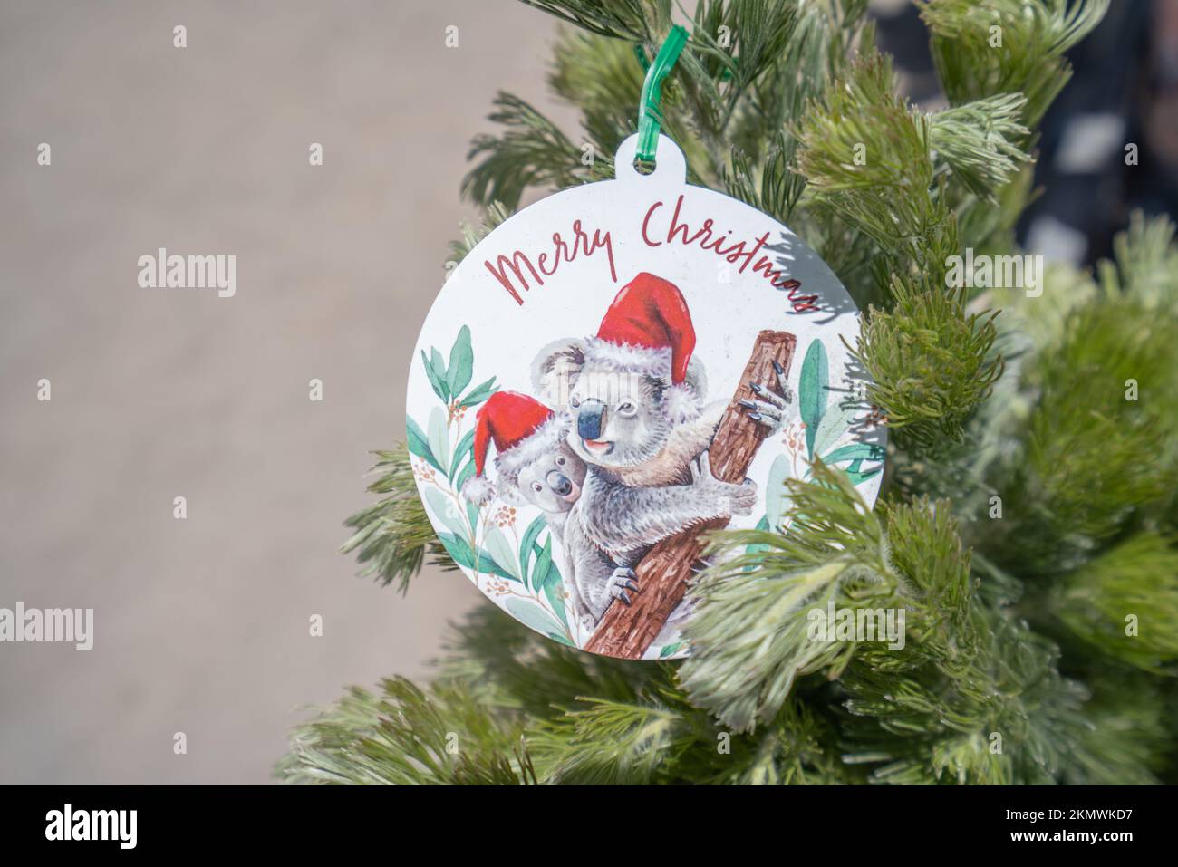 Adelaide, Australia. 27 November 2022. Australian koalas wearing a ...