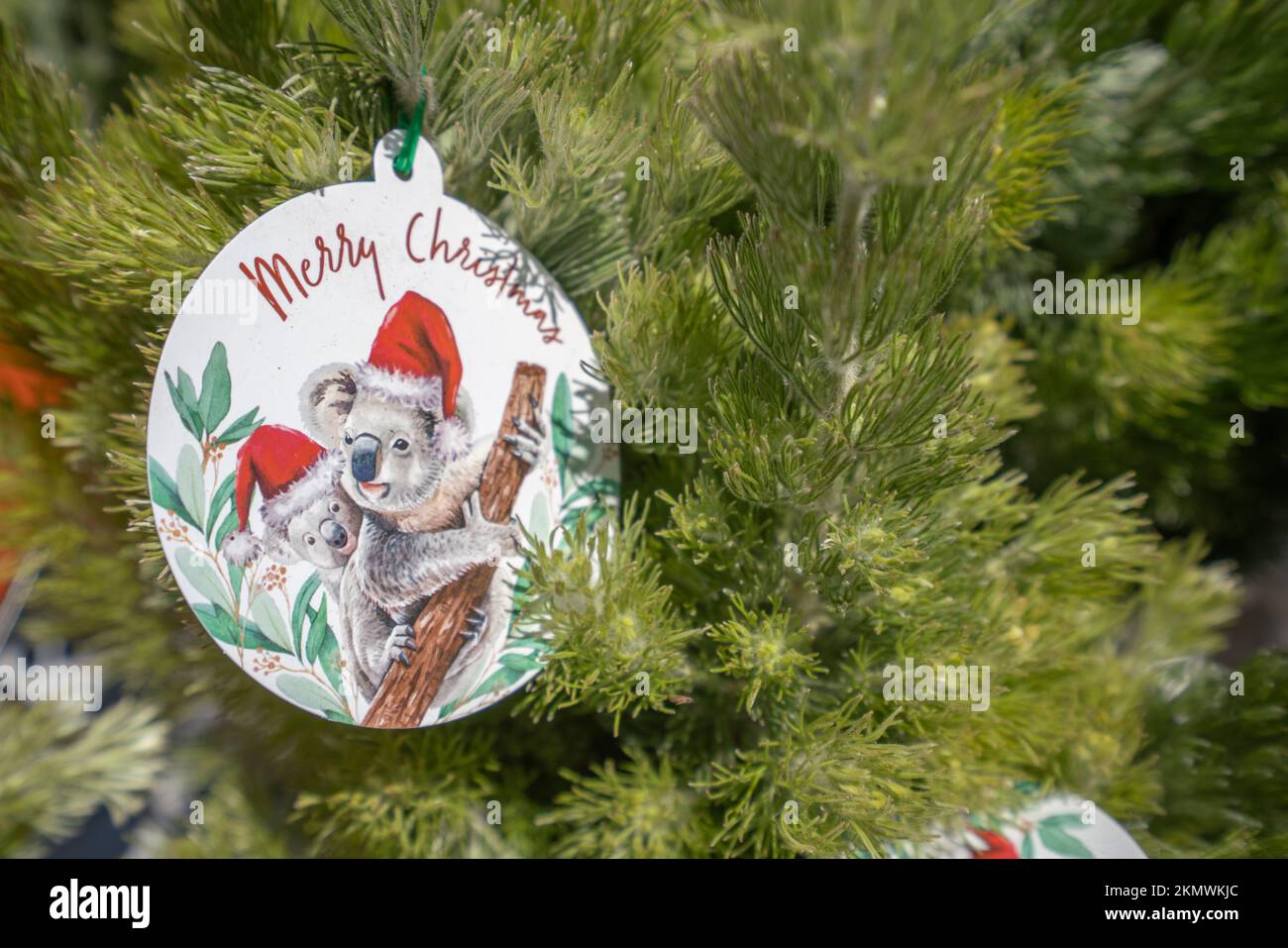 Adelaide, Australia. 27 November 2022. Australian koalas wearing a ...