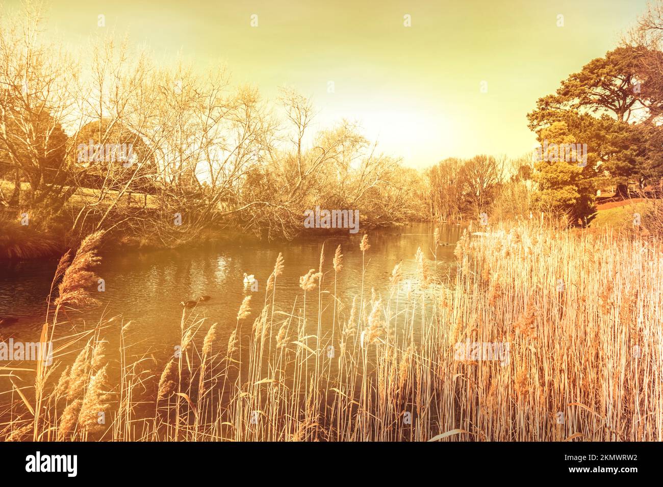 Retro toned river landscape streaming through sunny dawn field with old ...