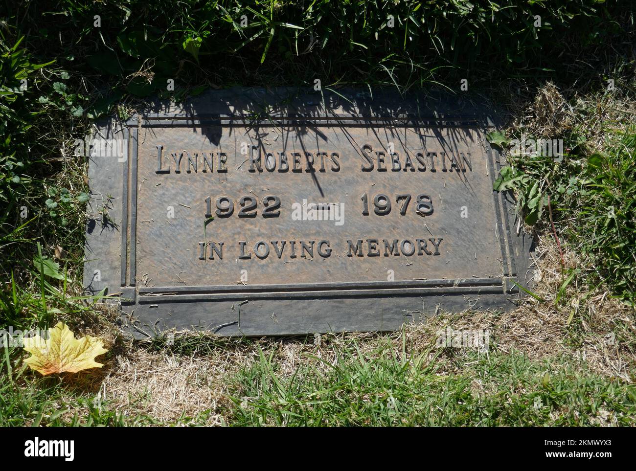 Los Angeles, California, USA 25th November 2022 Actress Lynne Roberts ...