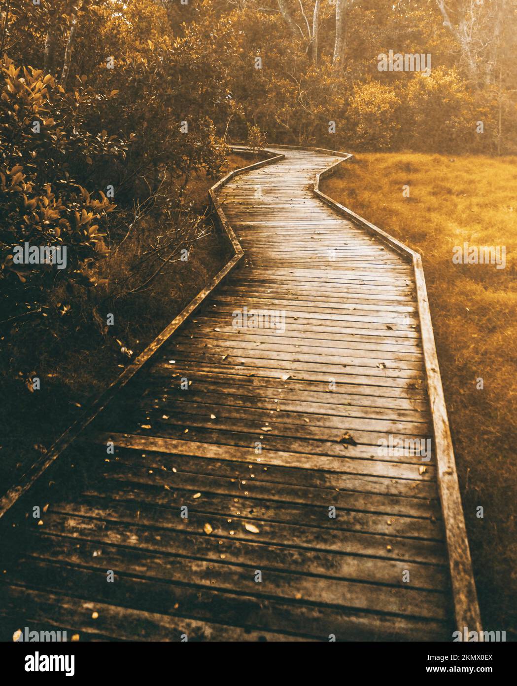 Moorland exploration hi-res stock photography and images - Alamy