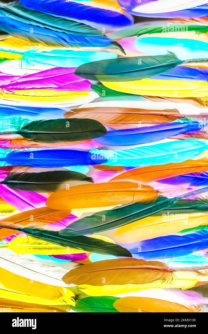Painterly pop-art in a creative rainbow display of assorted feathers in ...