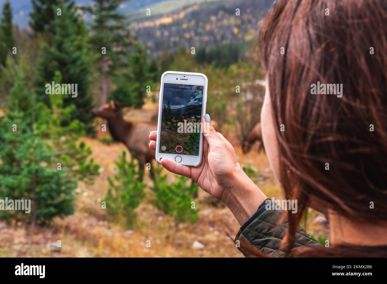 USA Rocky Mountain National Park Editorial Stock Photo - Alamy