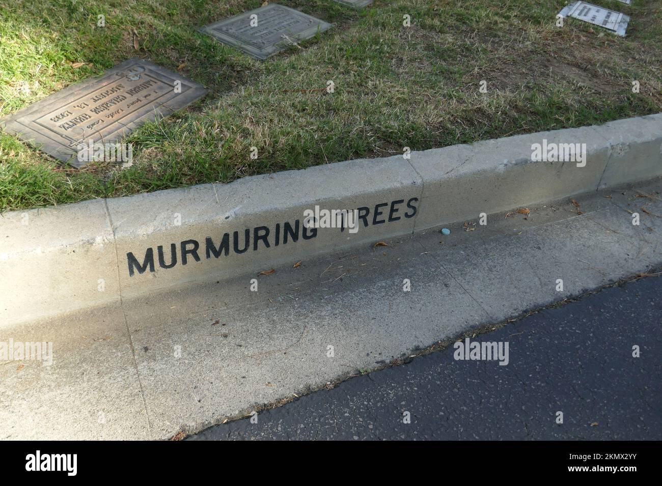 Los Angeles, California, USA 25th November 2022 Murmuring Trees section ...