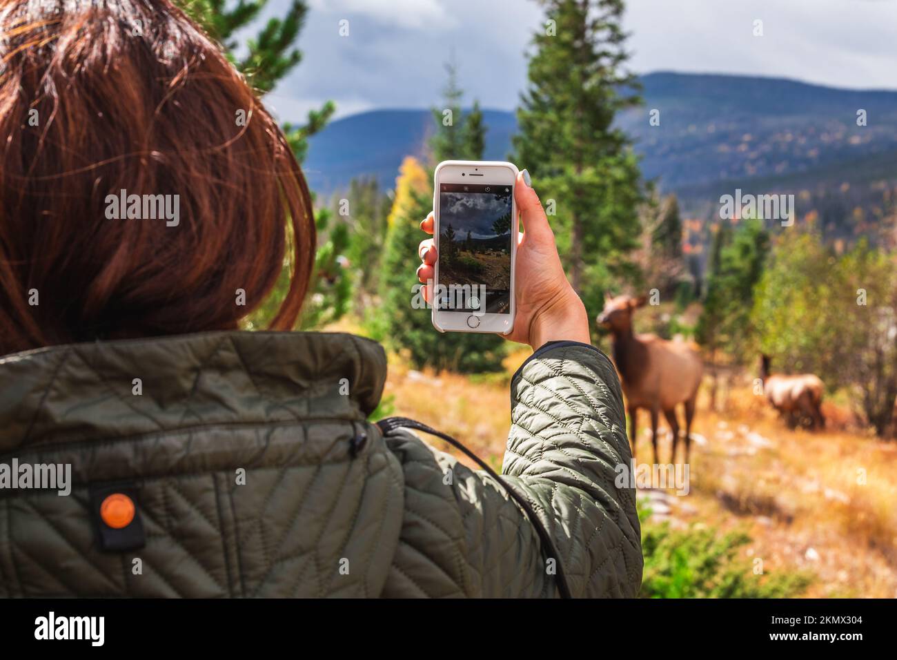 USA Rocky Mountain National Park Editorial Stock Photo - Alamy