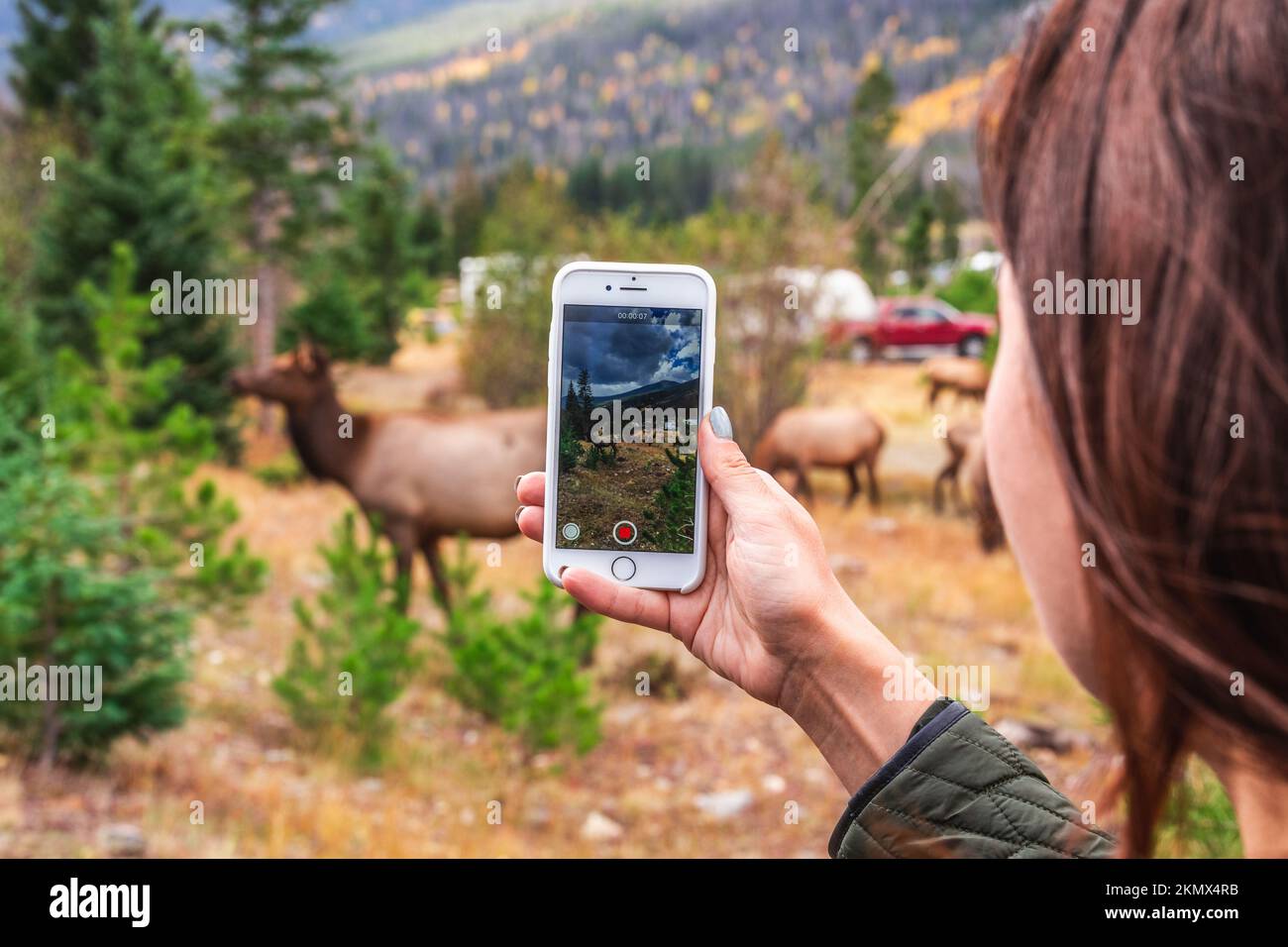 USA Rocky Mountain National Park Editorial Stock Photo - Alamy