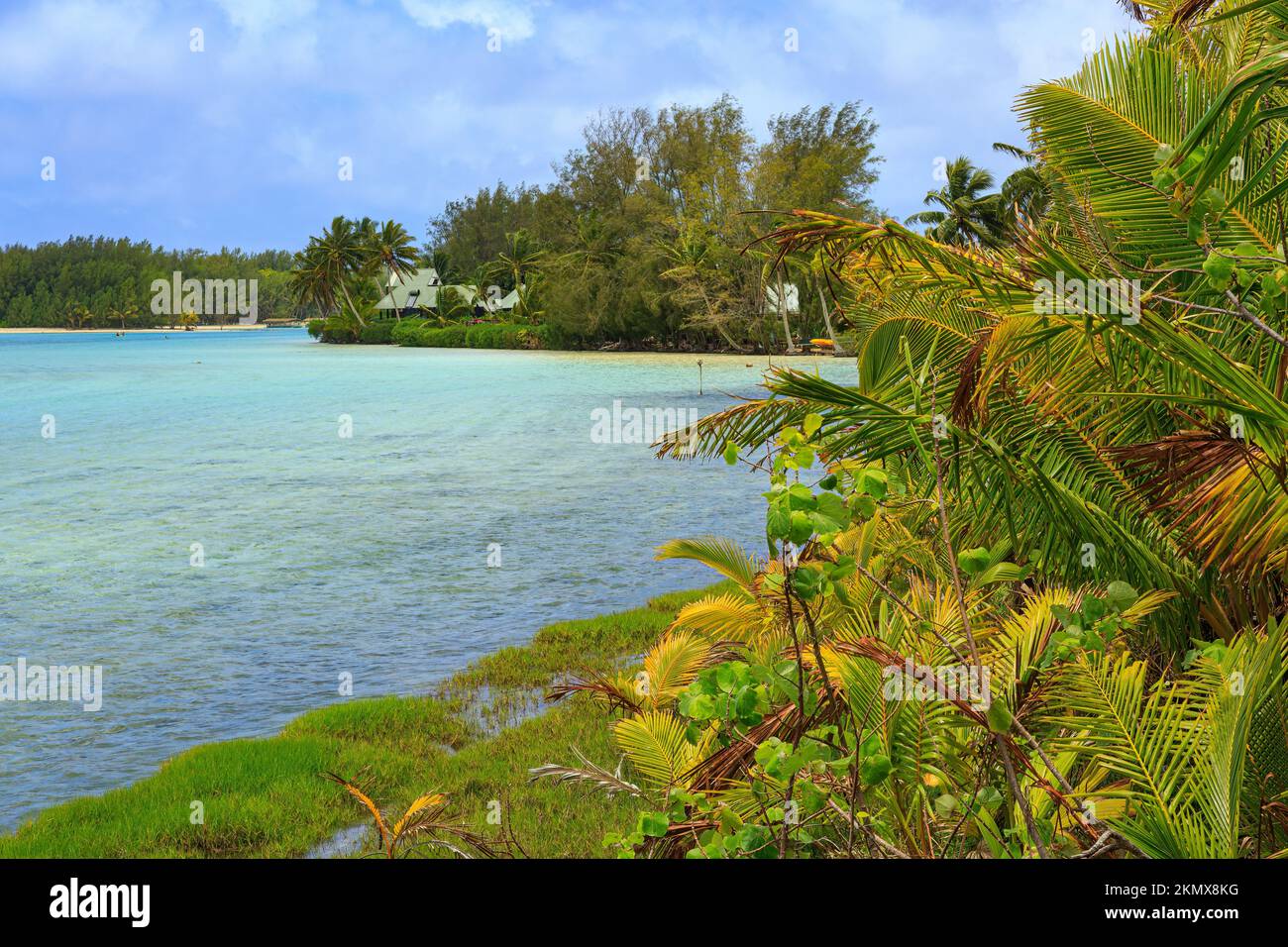The coastline at Muri Lagoon on the beautiful tropical island of ...