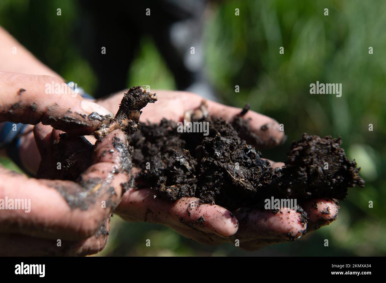 PRODUCTION - 10 June 2022, Bavaria, Ederheim: Archaeologist Astrid ...