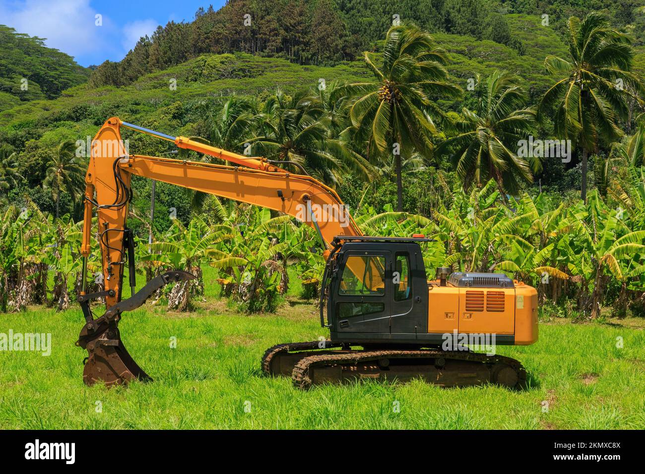 An excavator on a tropical island. In the background are palm trees ...