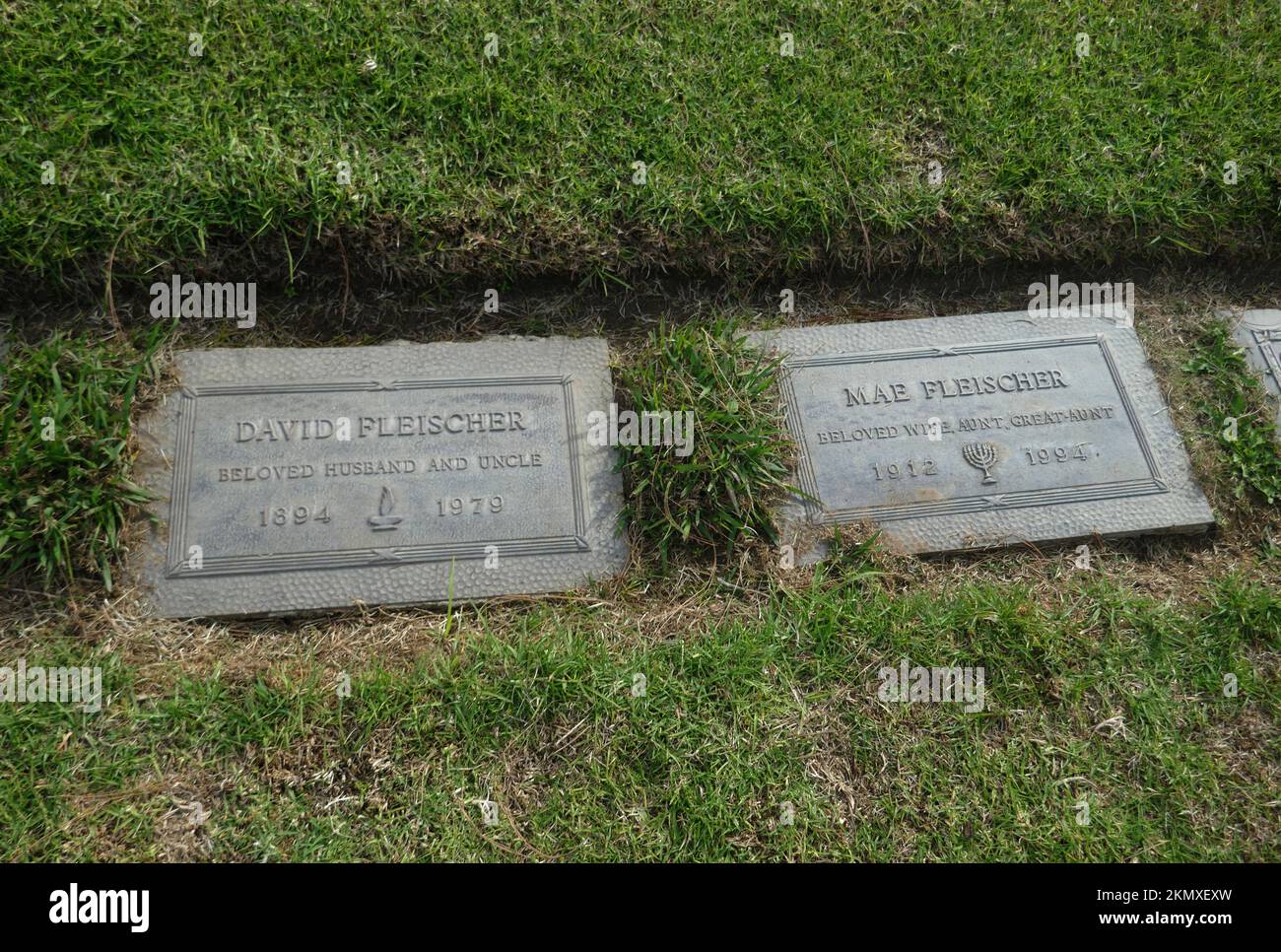 Los Angeles, California, USA 25th November 2022 Director/Producer Dave ...