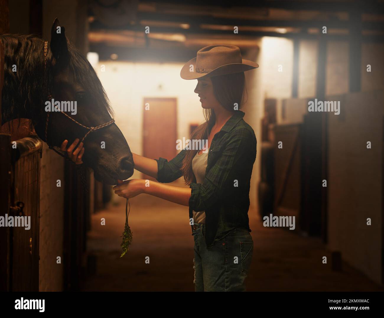 A girls best friend. a young woman tending to her horse in a stable ...