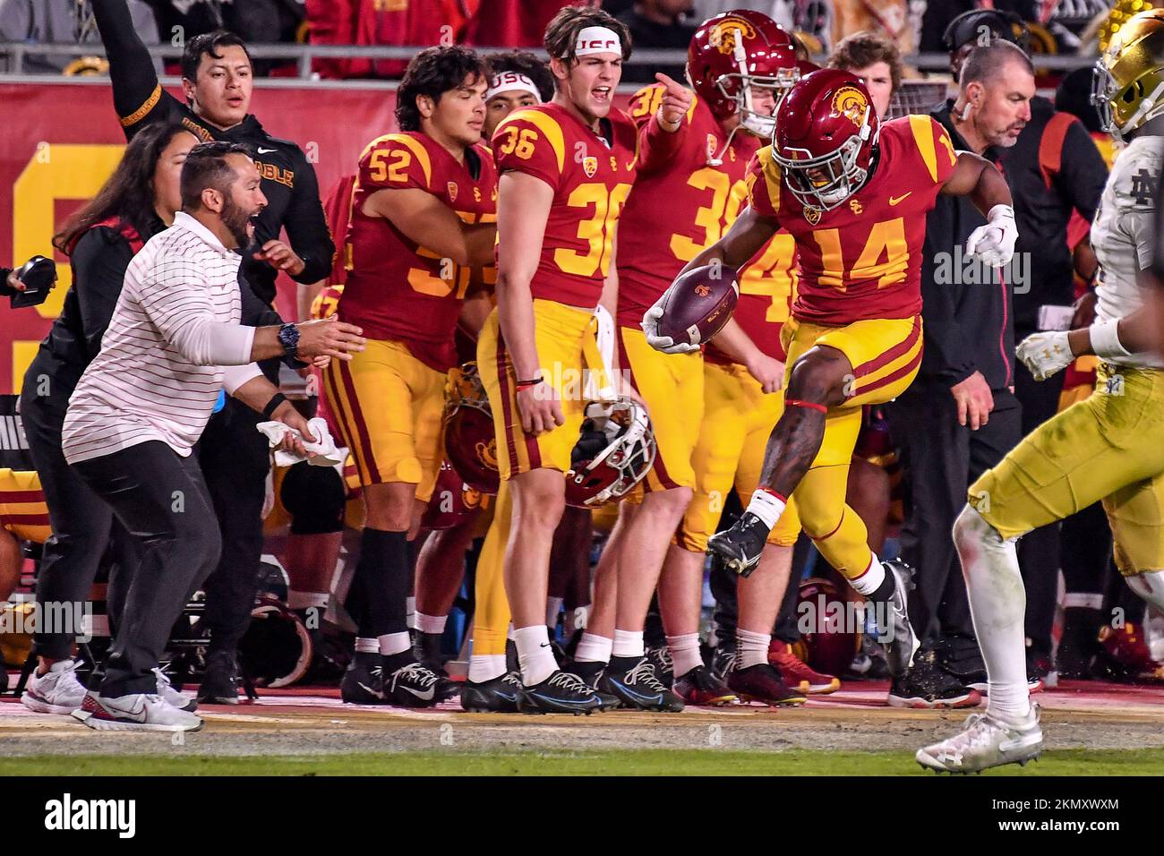 Raleek brown hi-res stock photography and images - Alamy