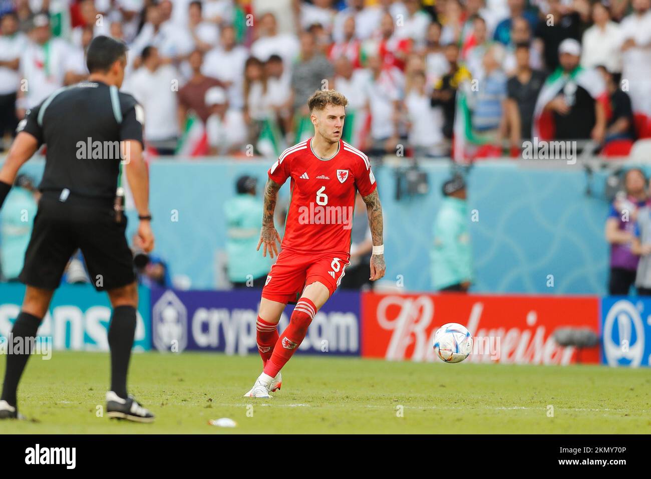Joe Rodon (WAL), NOVEMBER 25, 2022 - Football / Soccer : FIFA World Cup ...